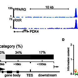 Global identification of PPARG and RXR binding sites in human macrophages.