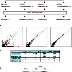 The method used to obtain reproducible data for microarray analysis conducted on serum-extracted ...