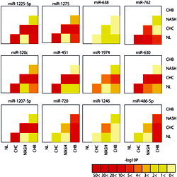 Pairwise heatmap of the miRNAs used for classifying among four groups.