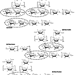 Structure of different types of fructans in plants.