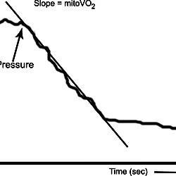 Principle of respirometry by local cessation of the oxygen supply.