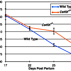 Relative usage of distal poly(A) sites (RUD) decreases throughout ...
