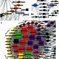 Three examples representing features of DRSN.