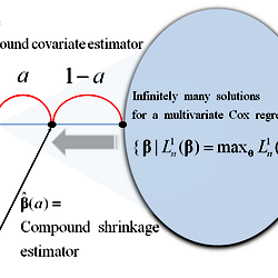 The proposed shrinkage scheme applied for the compound covariate method.