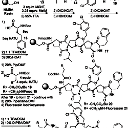 Item - The solid-phase synthesis of spiroligomers 1 and 2 using the ...