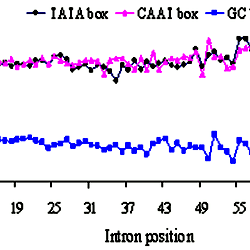 TATA, CAAT and GC boxes frequencies in introns