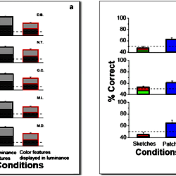 Chromatic Information and Feature Detection in Fast Visual Analysis - Fig 4