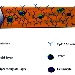 Structural details of the CellCollector.