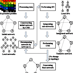 Schematic diagram of LBN method.