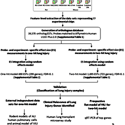Flowchart of microarray meta-analysis and validation procedure.