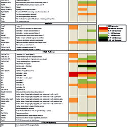 Heat map of the expression of TLR pathway genes after stimulation with ...