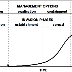Relationship between successive invasion phases and corresponding ...