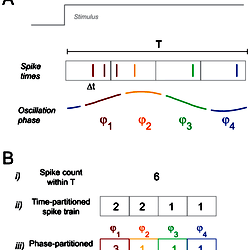 Schematic illustration of temporal partitioning schemes.
