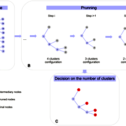 Graphical example of the SHIPS algorithm.
