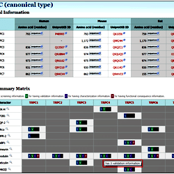 PPI summary matrix table.
