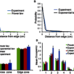 Positional preferences from experiments and two-component model with ...