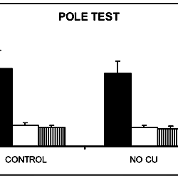 Pole test.