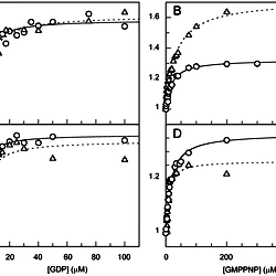 Binding of GDP and GMPPNP to GD1 and GD2-KH.
