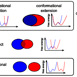 Schematic description of the proposed binding models.