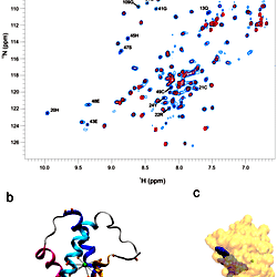 Ber e 1 copper interaction.
