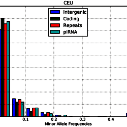 Minor allele frequency distributions in different classes of functional ...