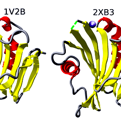 PsbP-family structures.
