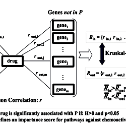 Schematic for calculating H-scores.