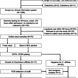 Patient flowchart of Clostridium difficile infection in ICUs.