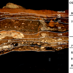 Stratigraphy, phases and dating from the South section of the BBC SB ...