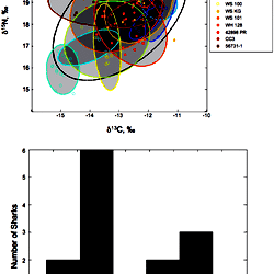 The niche overlap between each individual and the population.
