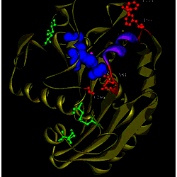Models of the simulated structure of RCL in a close form.