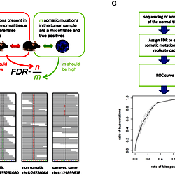 Schematic overview of FDR calculation method.