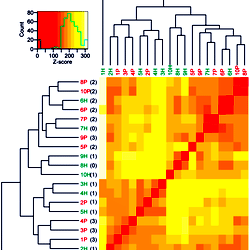 Clustering dendrogram and heatmap of periodontitis-affected and healthy ...