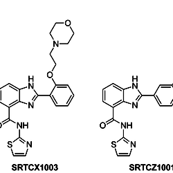 Structures of STACs.