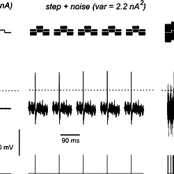 Examples of the functions S(t) and R(t) used to calculate normalized ...