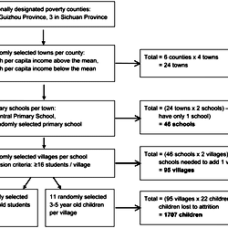 Sample selection schema.