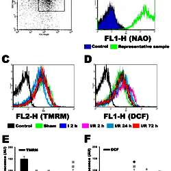 Selection of mitochondria based on their light scattering properties ...