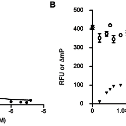 Optimization of the fluorescence polarization (FP) assay.
