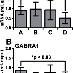 Confirmation of downregulated neocortical GABA pathway mRNAs in HIVE.