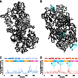 Essential dynamics analysis for the two systems.
