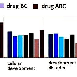 The Top 10 bio-functions analyzed by ingenuity pathway analysis ...