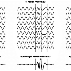 Schematic Representation of three variants of the Phase-alignment Model.