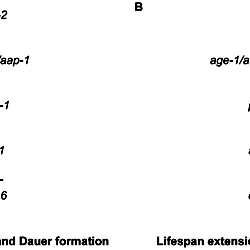 A model of asm-3 function.