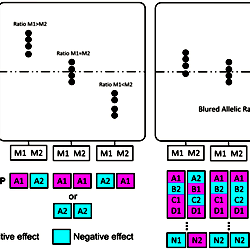 Allelic expression ratios resulted from collaborative effects of ...