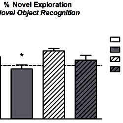 Novel object recognition.