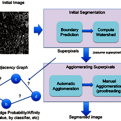 Segmentation workflow.