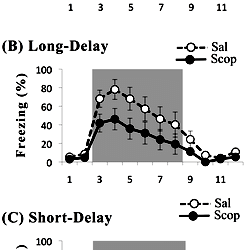 Results of cue test.