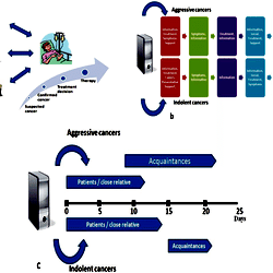 Overview of model of search pattern.