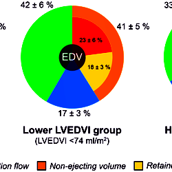 The 4D flow components as proportions of total LV EDV (percent ± SD) in ...