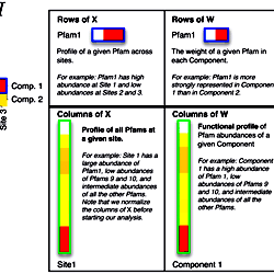 A conceptual illustration of NMF decomposition.